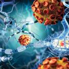 Neuroplasticity | UC Davis Biotechnology Program